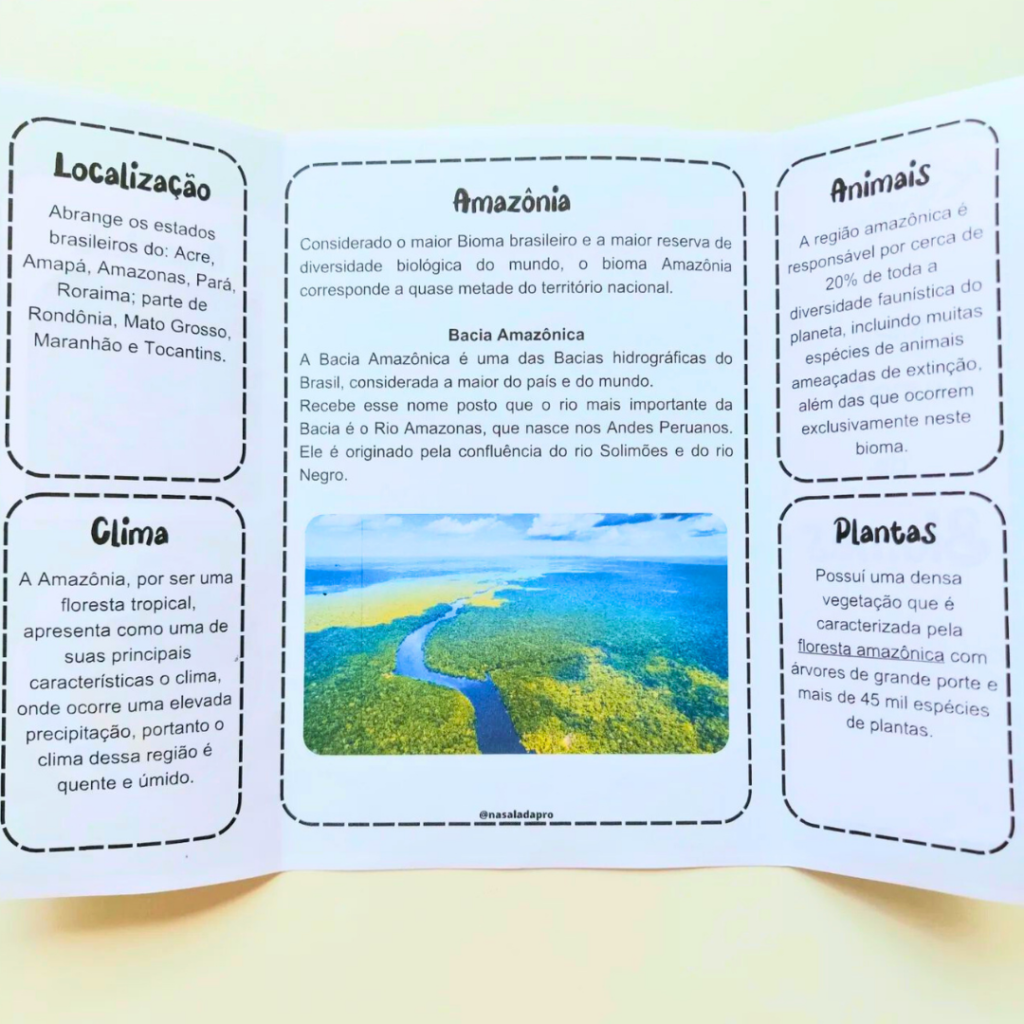 Kit Biomas Brasileiros - Na Sala da Prô